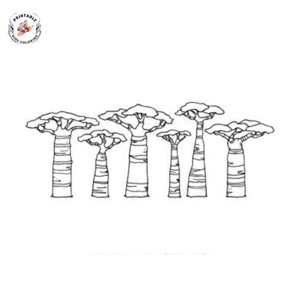 Baobab Tree Coloring Page Free