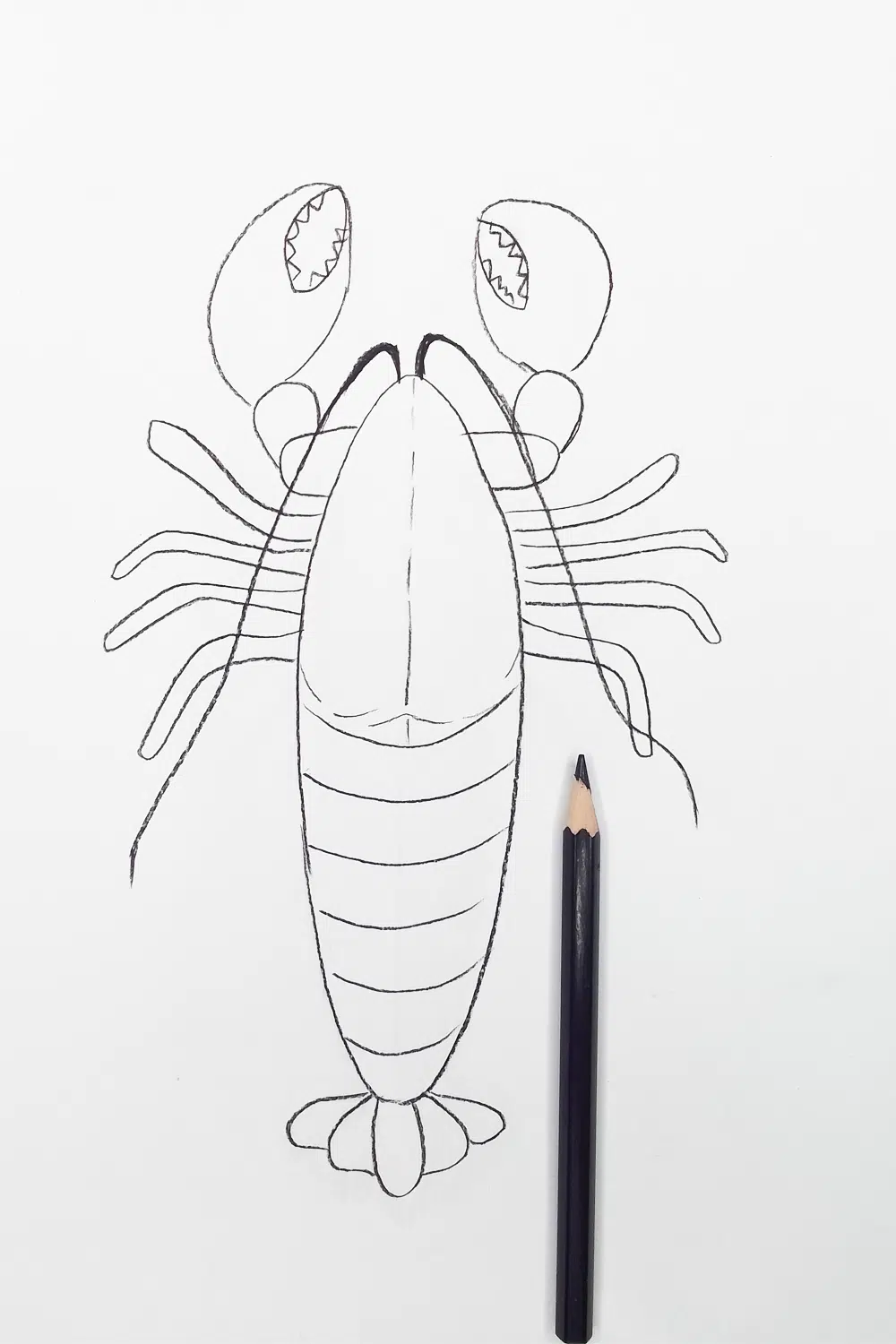 Simple Lobster Drawing Ideas