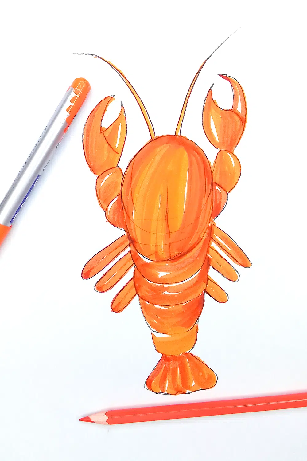 Simple Lobster Drawing Ideas